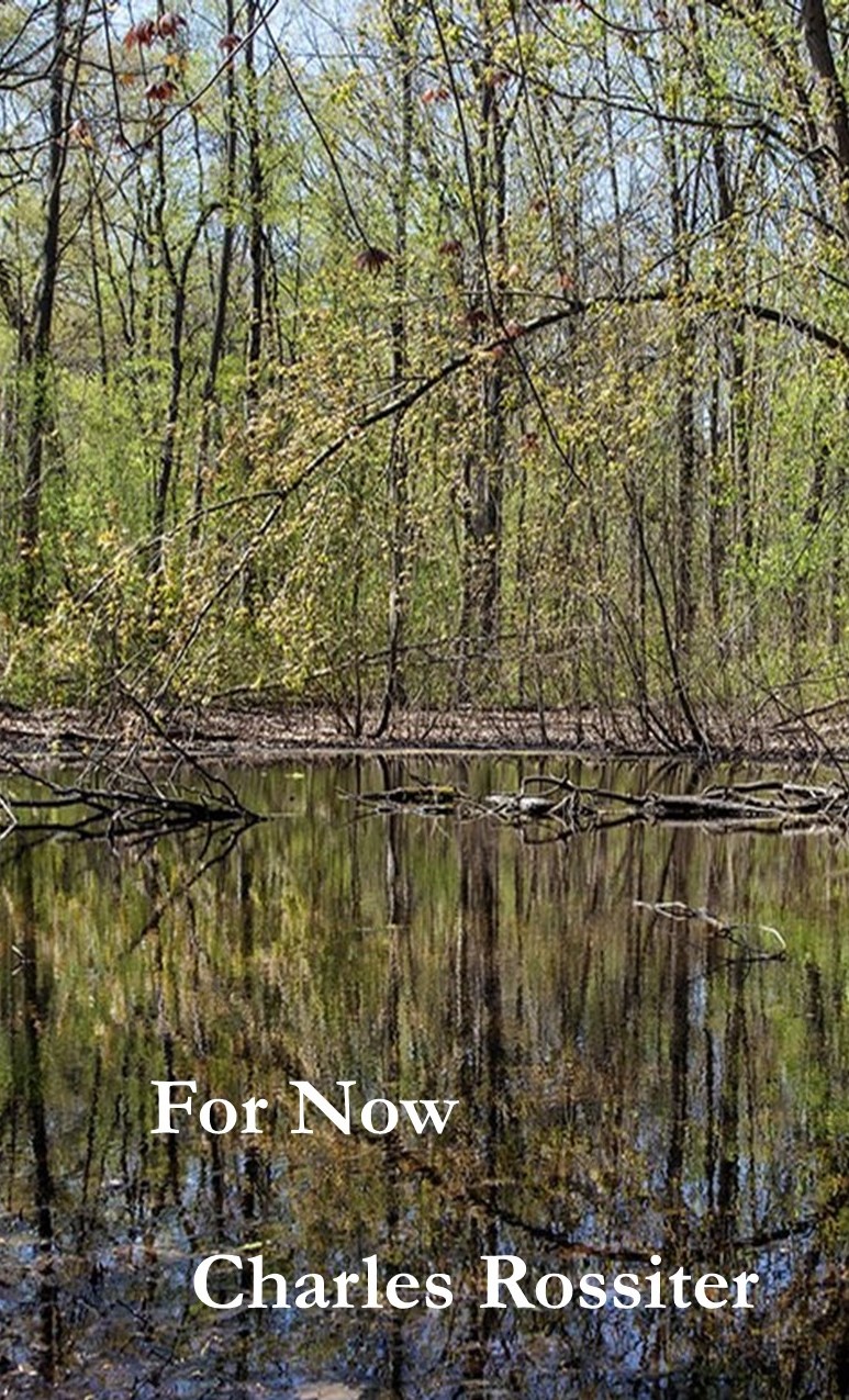Charles Rossiter – FootHills Publishing/Michael Czarnecki